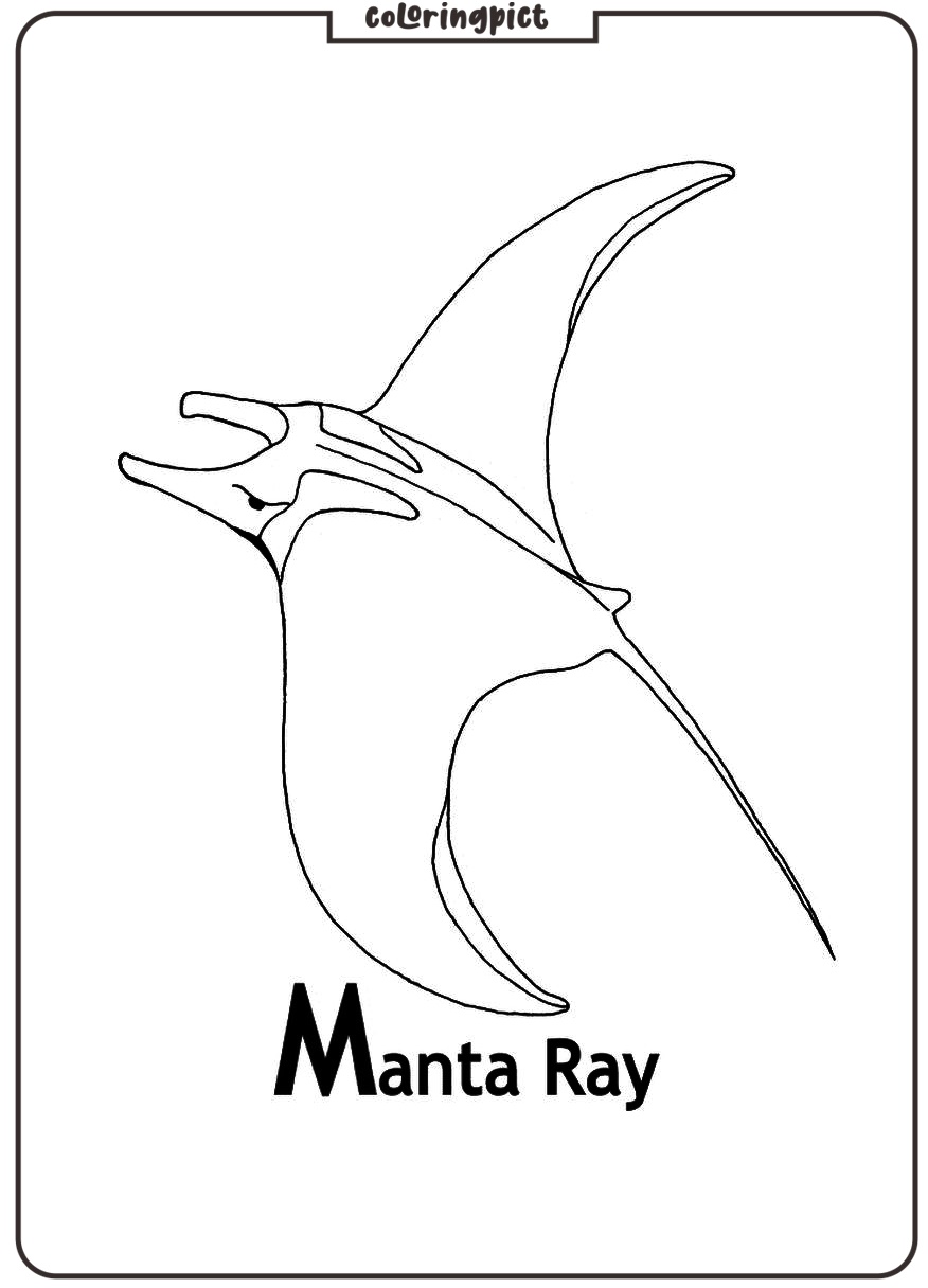 Manta Ray Coloring Page for Kids - coloringpict